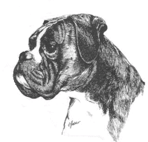 BK Landesausscheidungsprüfung IGP Veranstaltungen – working-dog