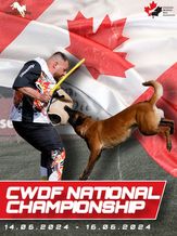 working-dog - Dogs, videos, championships, pedigrees, contacts, photos ...