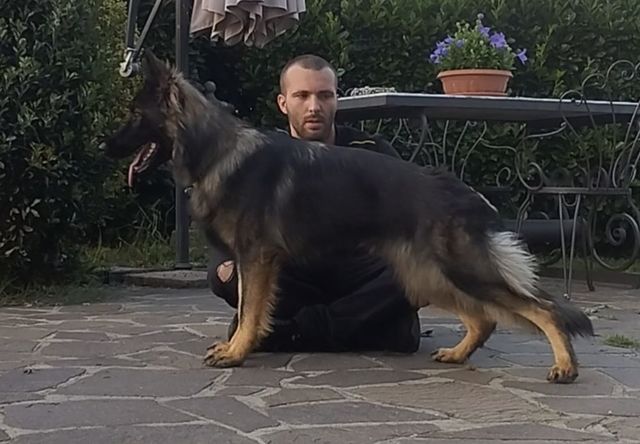 Breed from the kennel Rio v.: Kiev von der Allgäu-Bergstätte and Greta ...