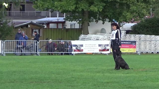 Breed from the kennel von der Moerser Grafschaft: Yaris vom Pfauenthron ...