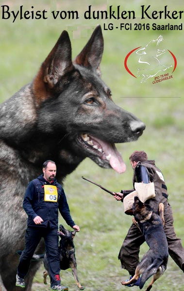 Byleist vom dunklen Kerker | Hundeprofil - Informationen und Daten