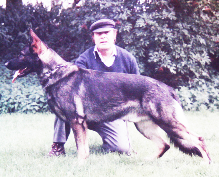 Farro von Kolegem | Hundeprofil - Informationen und Daten