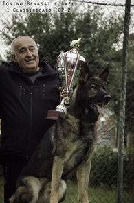 Zucht des Zwingers la Tana del Grigione: Axel ROI 19/55956 (Benassi ...