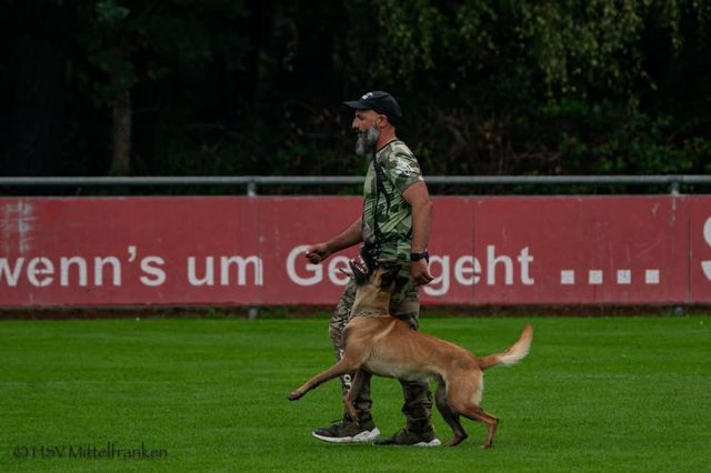 Litter plan from the kennel of Devil's Claw: Conan vom Rappenbühl and ...