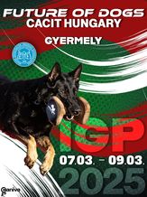 Bienvenue sur le plus grand réseau de sport canin