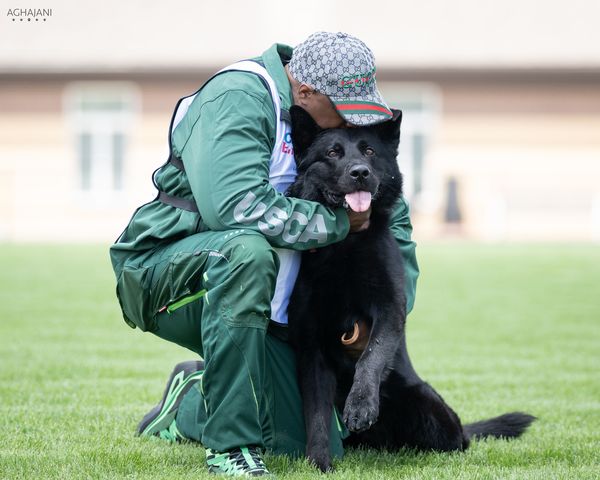 Zucht des Zwingers Hunnen-Konig: Live vom Rungenberg und Krazy vom ...